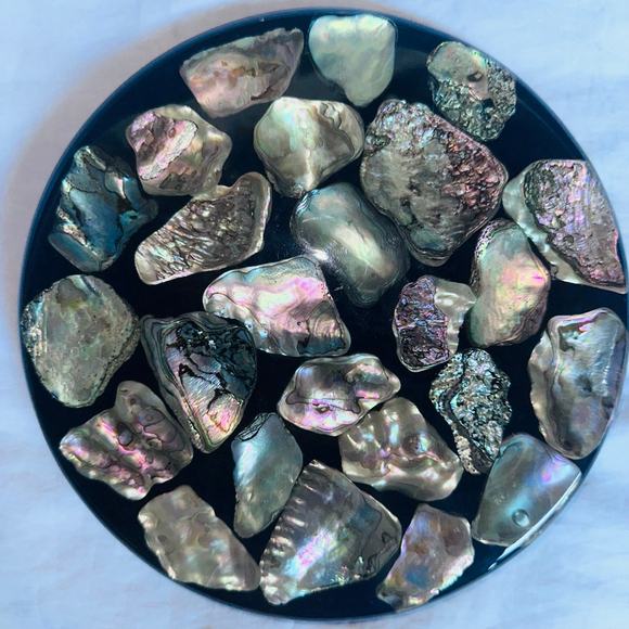 New Designs | Kitchen | Vintage New Designs Lucite Resin Abalone Shells ...